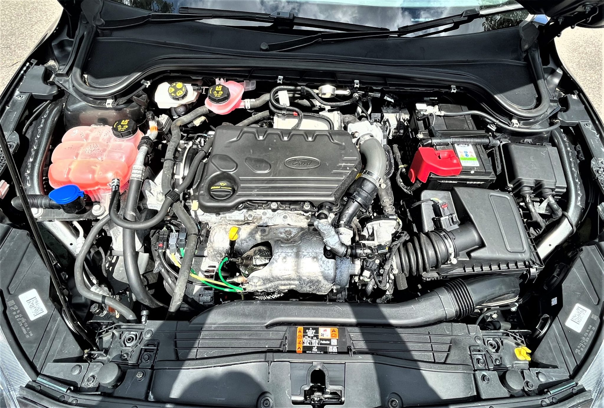 Motor Ford EcoBlue 1.5: ficha tecnica, problemas y tuning