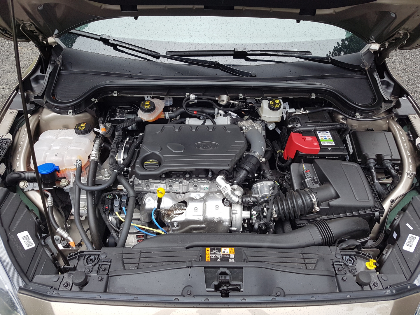 Motor Ford EcoBlue 1.5: ficha tecnica, problemas y tuning